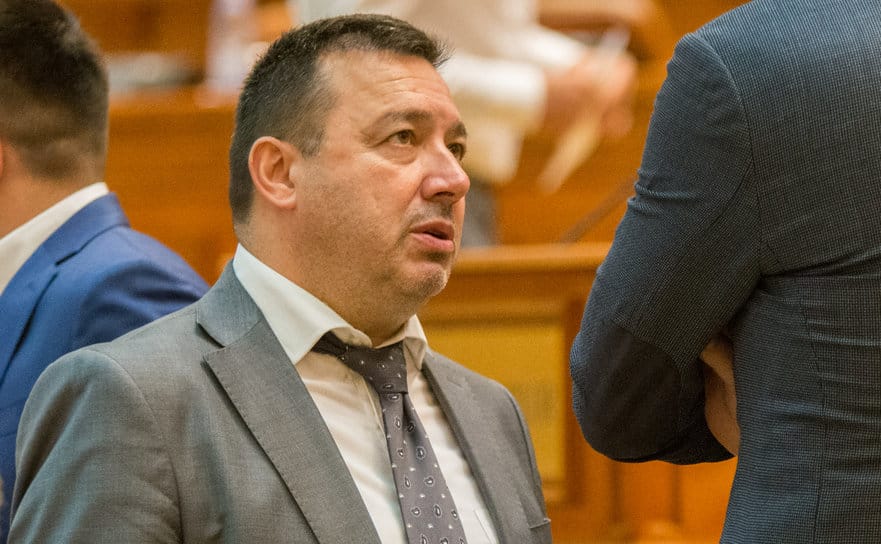 Cătălin Rădulescu, către UE: "Când Brâncuși făcea statui, voi făceaţi ...